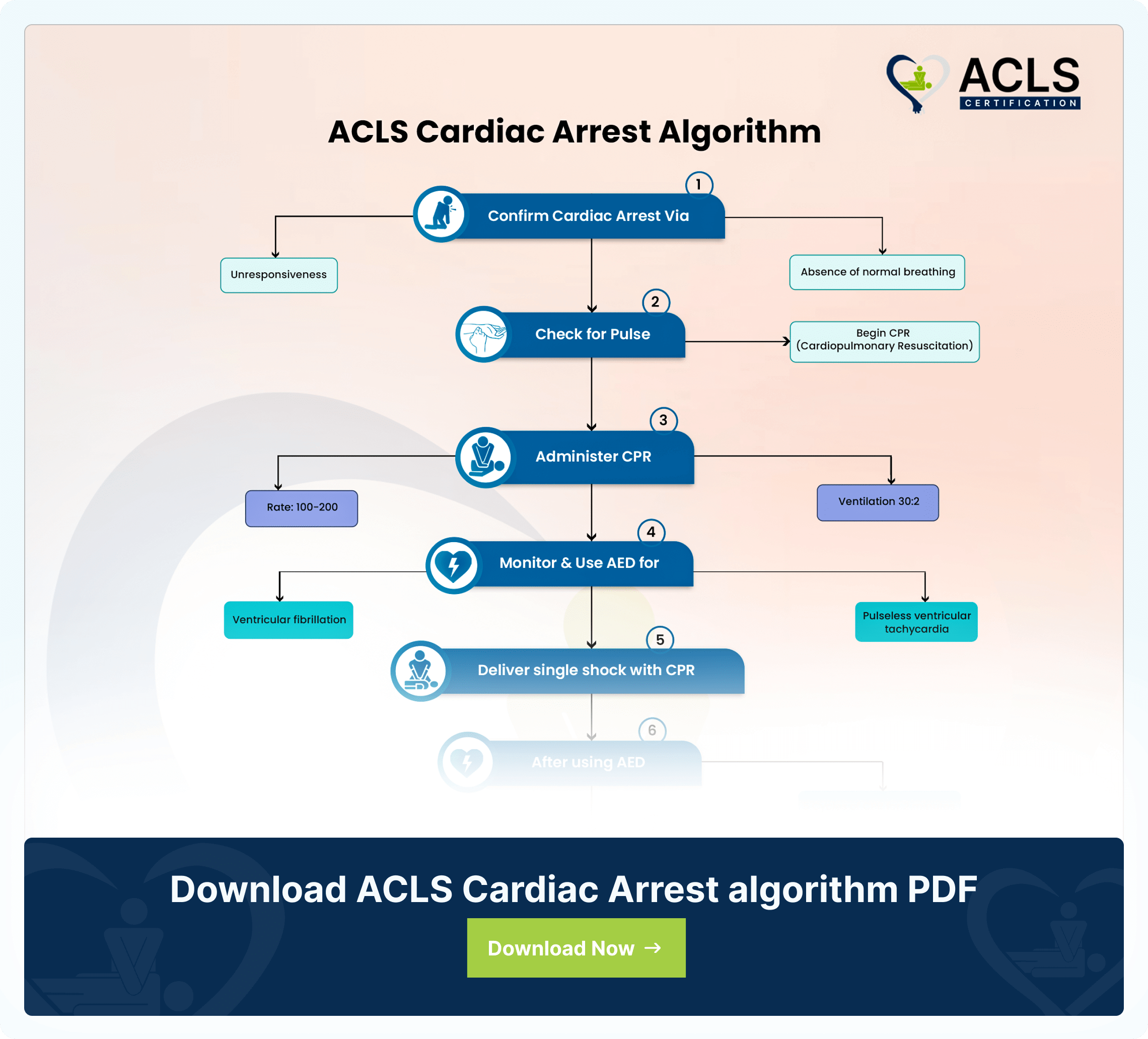 ACLS Algorithms Complete Advanced Cardiac Life Support Protocols