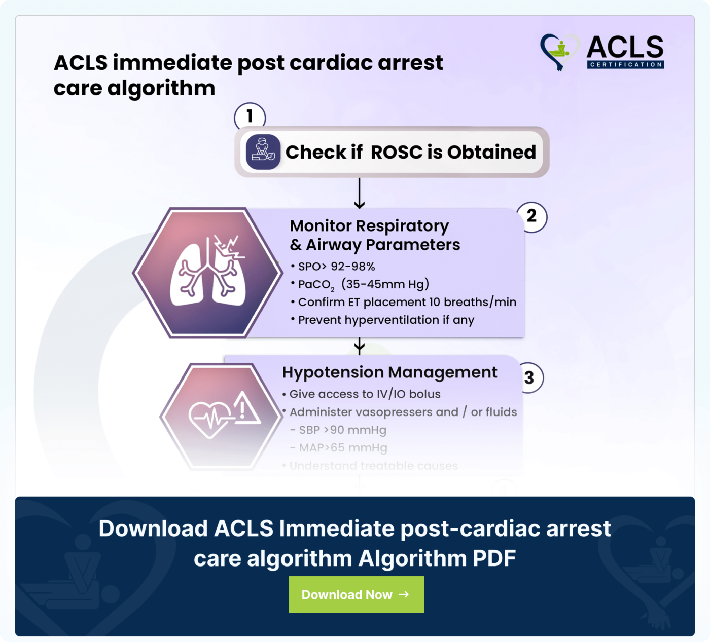 Acls Cardiac Arrest Algorithm - Advanced Resuscitation Protocol - Aclsnow