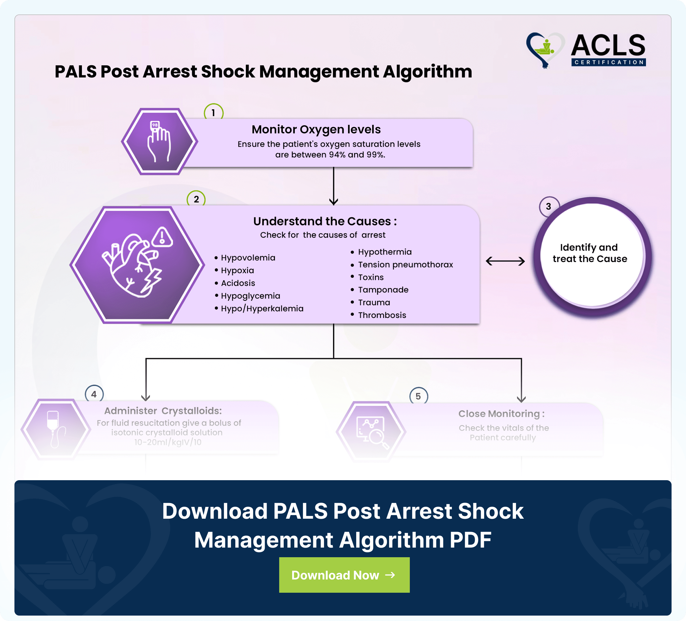 PALS Algorithms ACLSNow