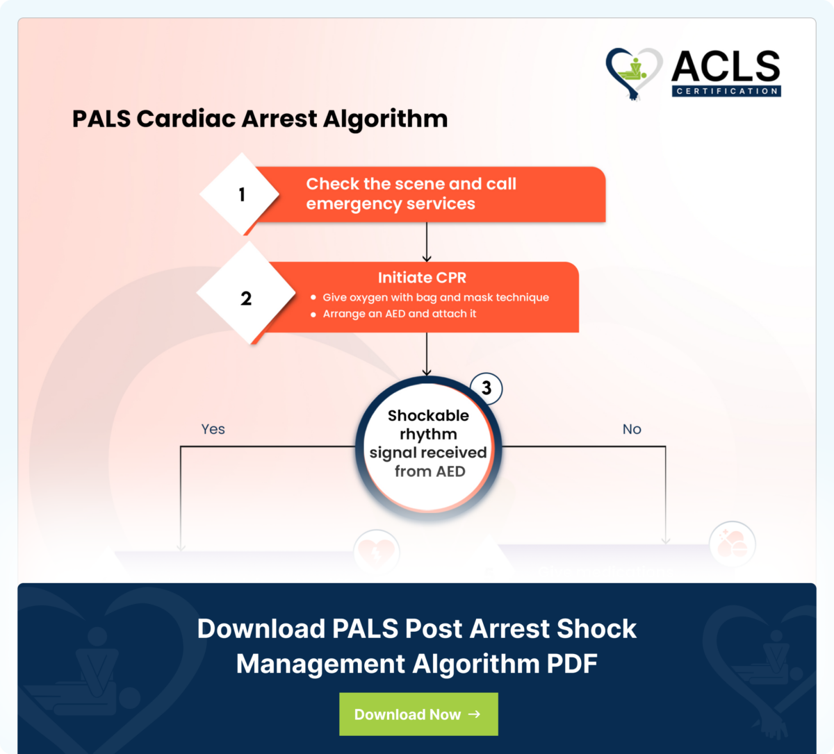 PALS Algorithms - ACLSNow
