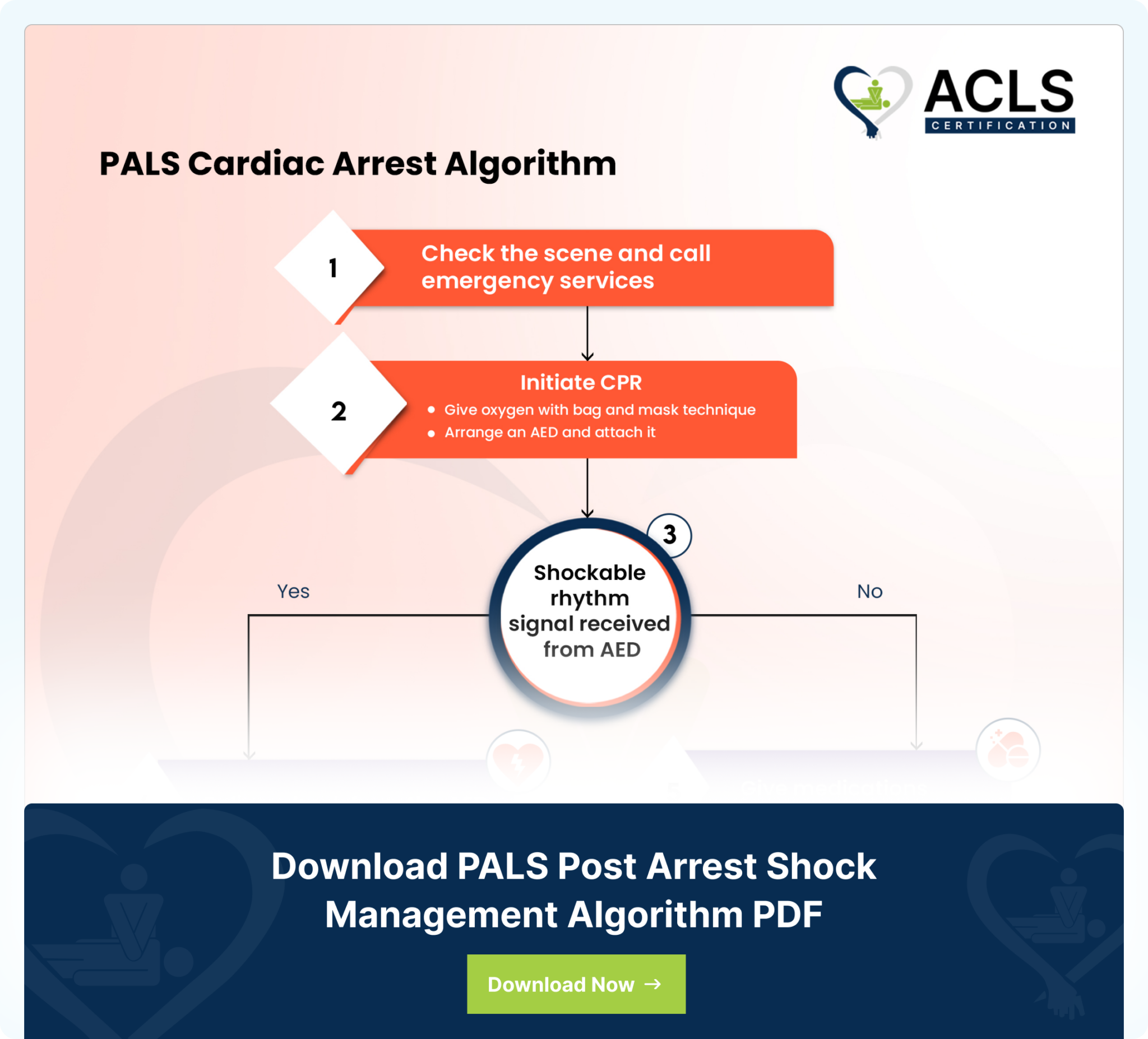 PALS Algorithms - ACLSNow