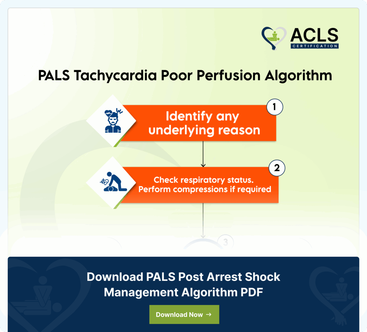PALS Algorithm | ACLSNow