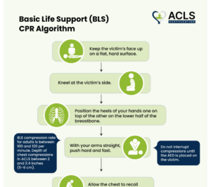 Adult BLS Algorithm | ACLSNow