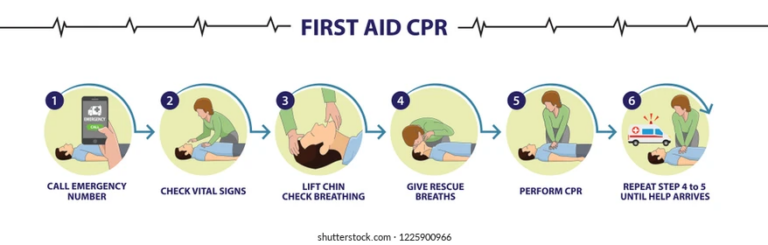 3 Cs of CPR and 3 Ps of First Aid - Explore the Principles